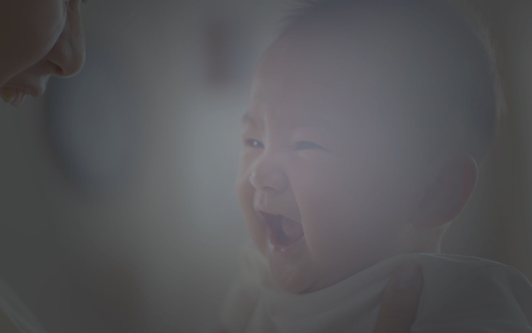 希映案例 泰迪熊纸尿裤TVC广告片