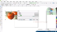 CorelDRAW位图滤镜三维效果