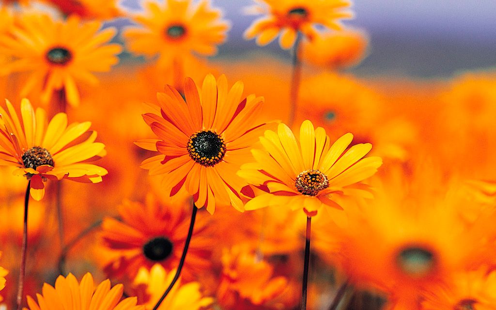 思想道德修养与法律基础