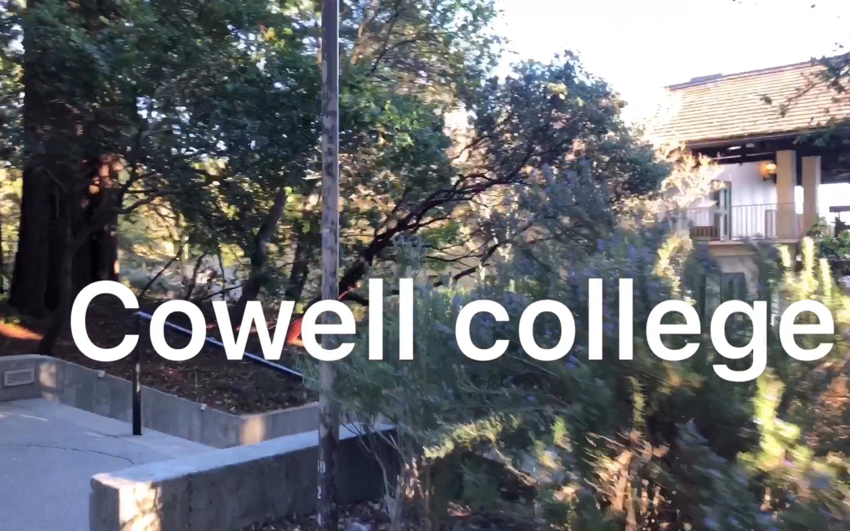 UCSC Cowell college