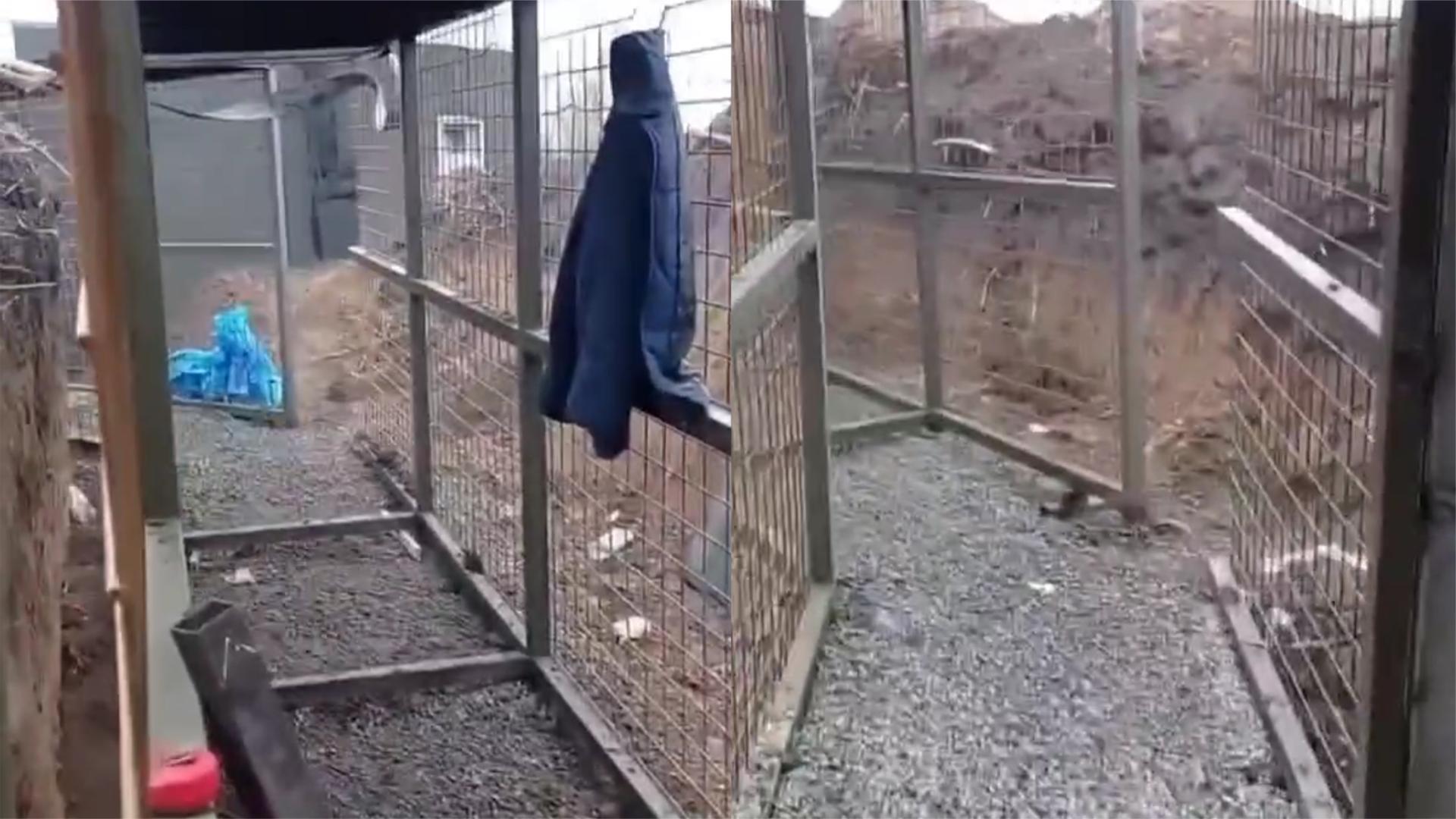 为应对FPV,乌军独辟蹊径,直接在掩体处采用钢筋混凝土结构