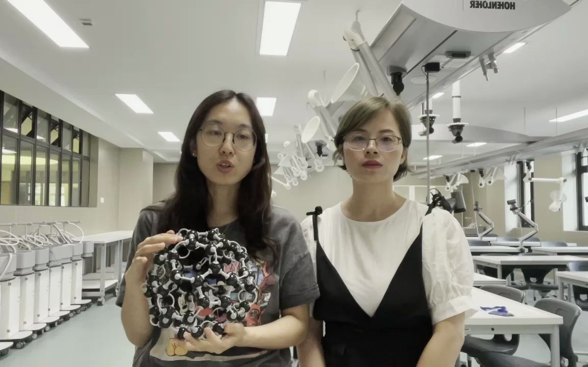 市西 生化跨学科实验探究 短课 张颖 白文静