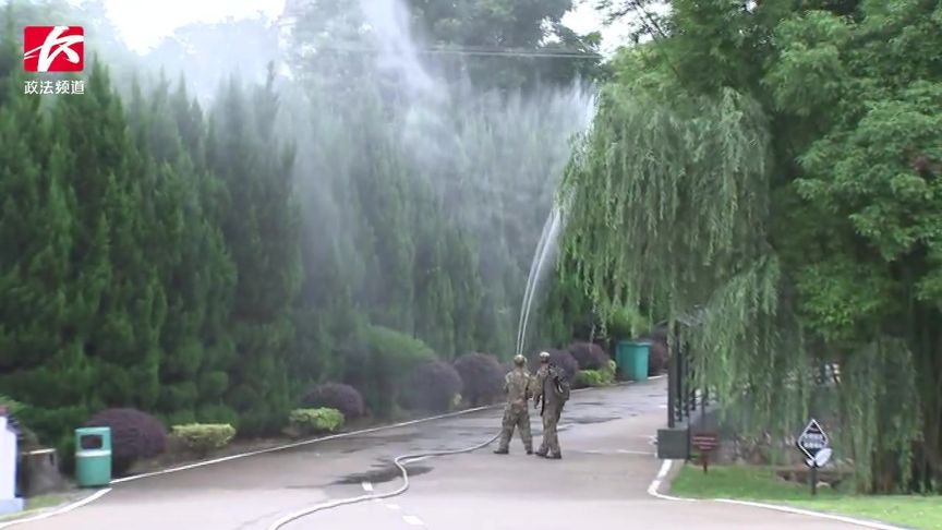 防患于未“燃”!专家支招发生森林火灾应如何自救和逃生