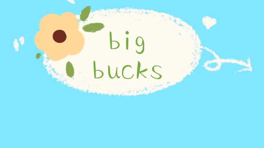 一分钟学个英语词组 big bucks