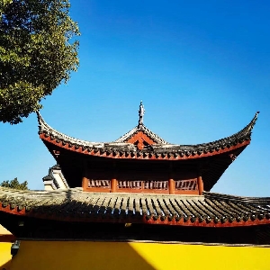 老杨的赔率世界 