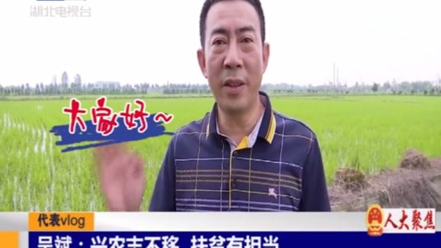 人大代表聚焦,视频日记讲述吴稻长的故事