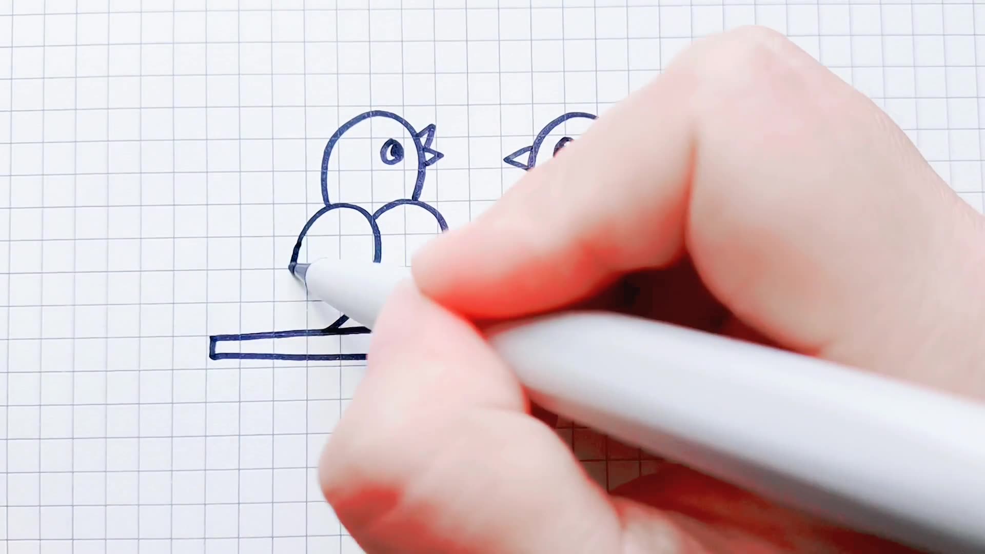 简单有趣的小鸟画法,小朋友跟着我画一遍就能画好哦