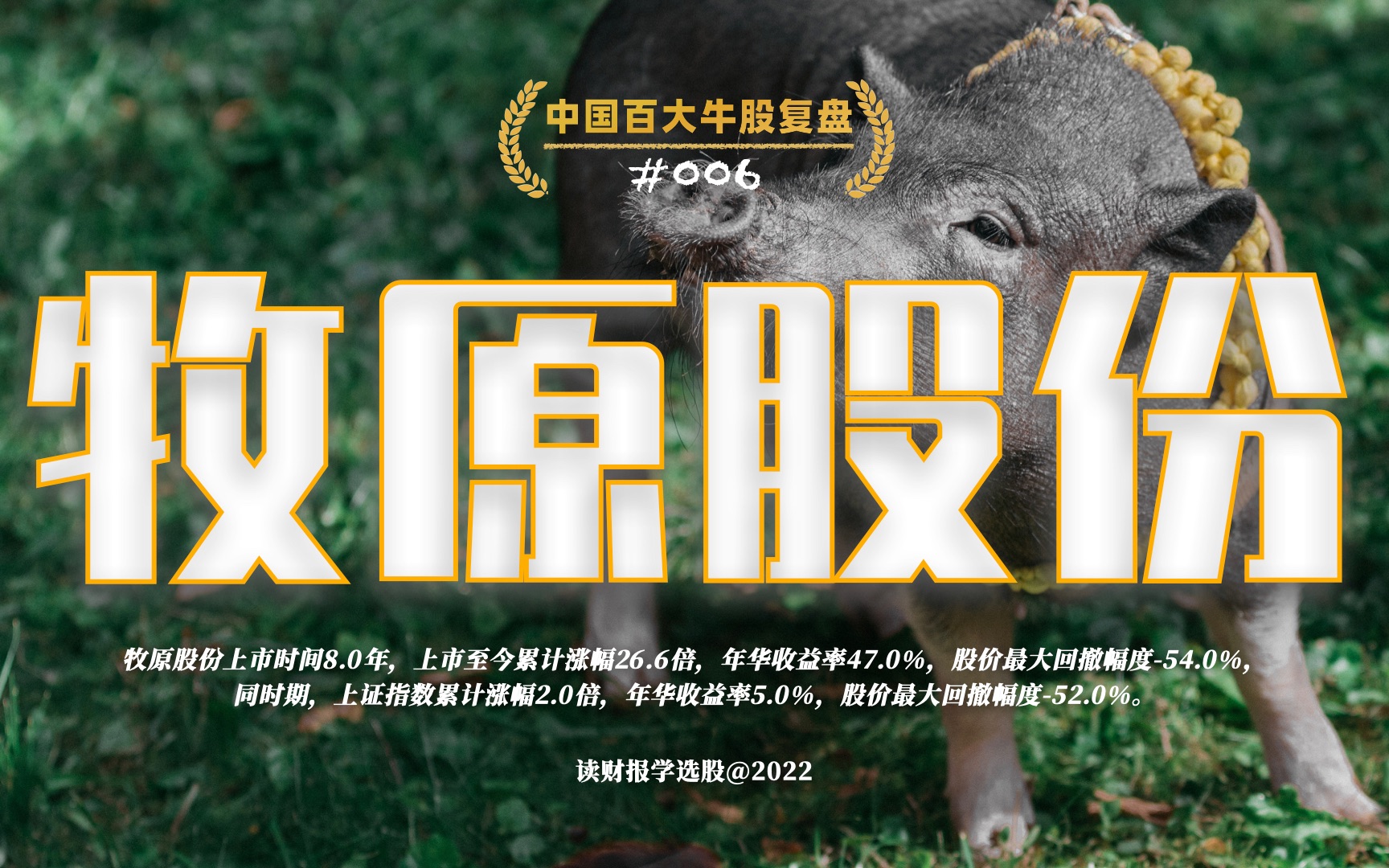 中国百大牛股复盘006:牧原股份,全球出栏量最大的生猪养殖企业