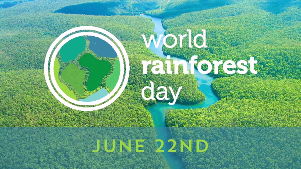 世界雨林日 World Rainforest Day | 好书推荐