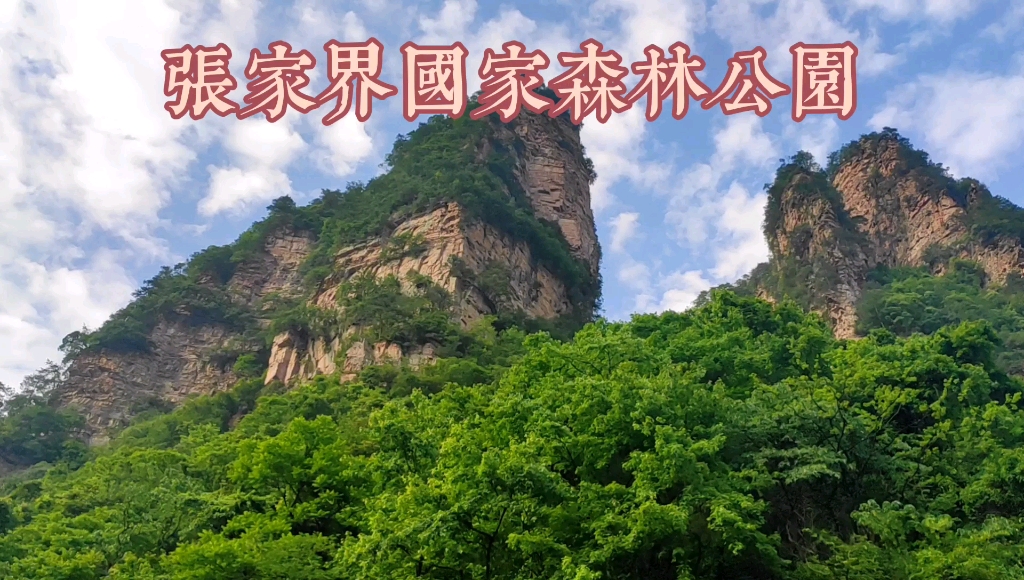 张家界森林公园,超好看的大自然氧吧!