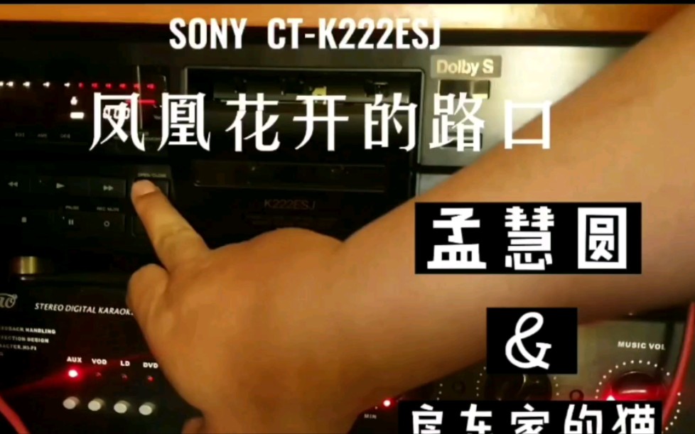 极致模拟声 凤凰花开的路口-孟慧圆&房东家的猫