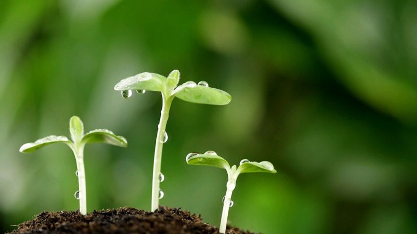 疫情期间,父母在家如何有效帮助孩子提升教学进度,做到以下4点