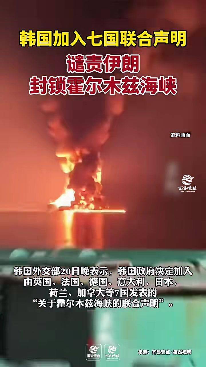 韩国加入由英国、法国、德国、意大利、日本、荷兰、加拿大等7国...