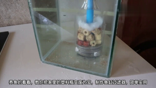 教你用塑料瓶制作鱼缸过滤器,过滤功能强大,成本不到5块钱!