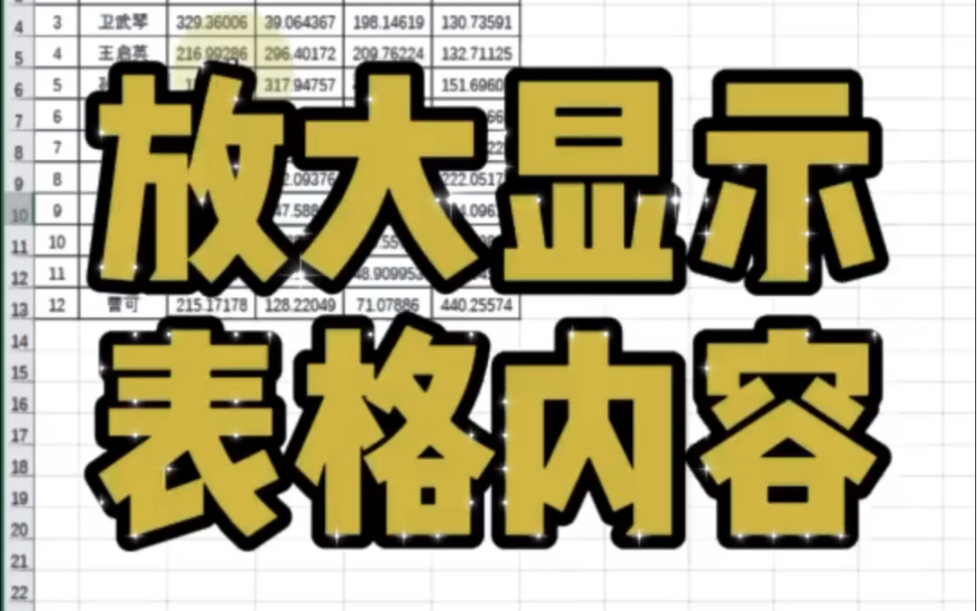 放大显示表格内容