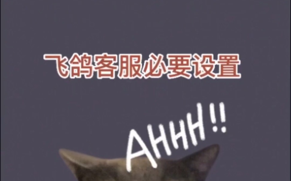一分钟讲解飞鸽客服必要设置