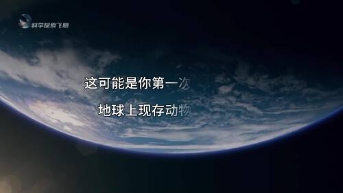 地球动物寿命排名,生命转瞬即逝,而又生生不息,献给每一位存在的生灵
