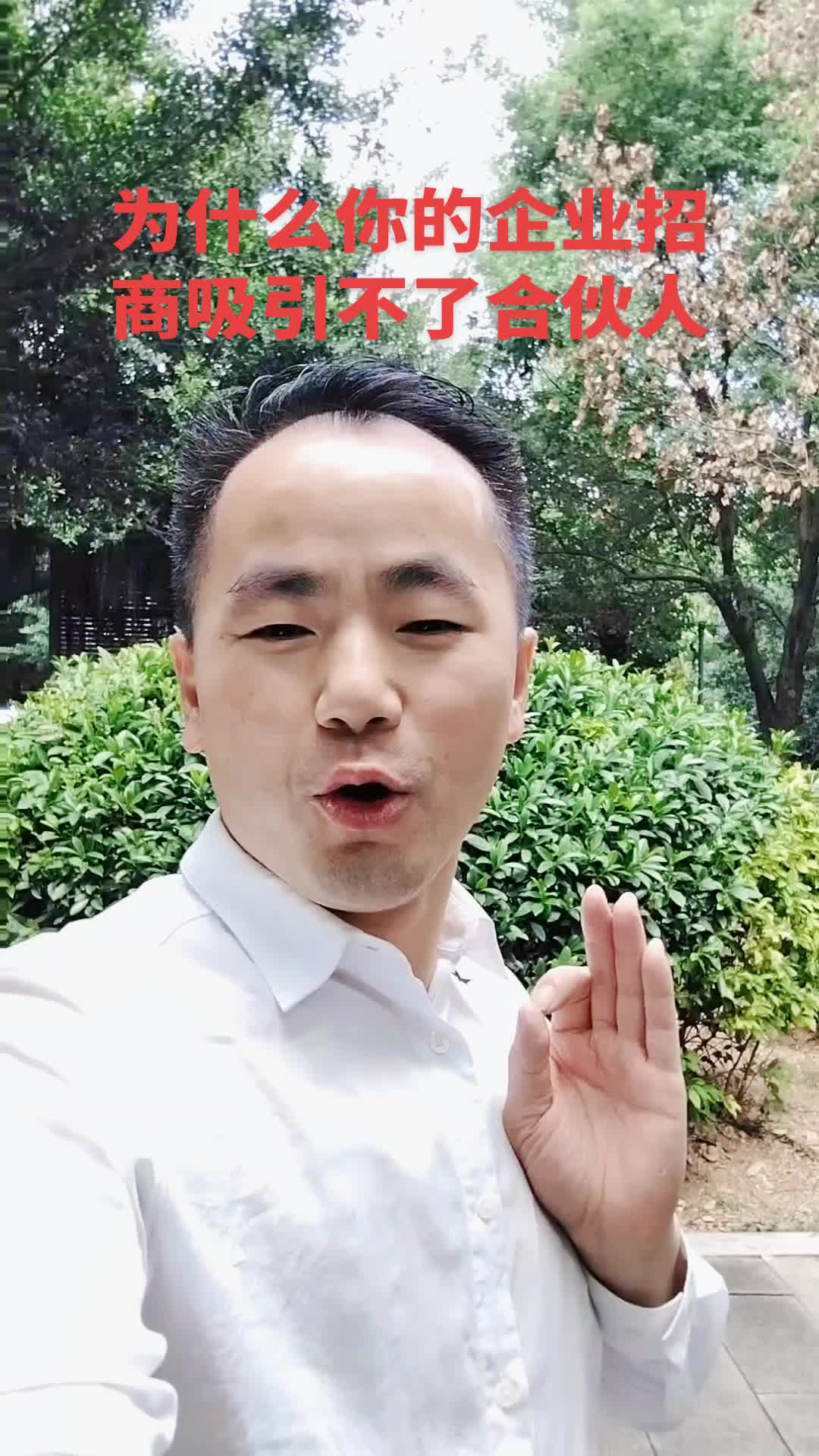 #策划#方案#招商引资#演说#销讲