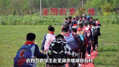 安徽芜湖:劳动教育实践开启!400名小学生走进"龙图"体验农耕