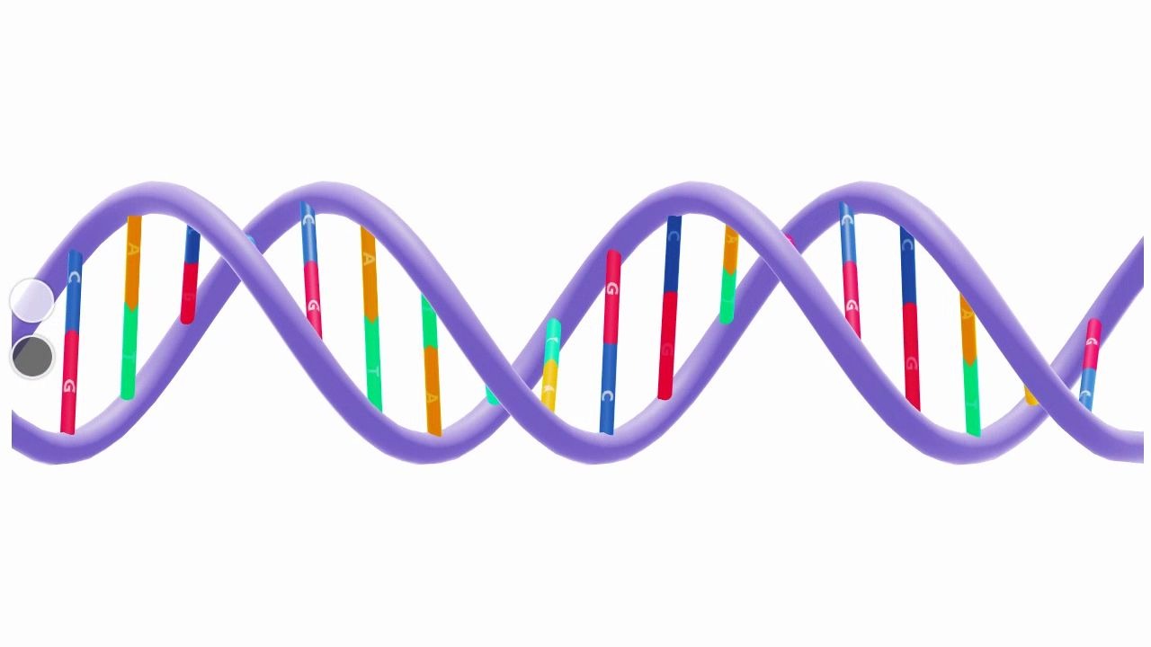 【生物】DNA和RNA在化学组成上的区别