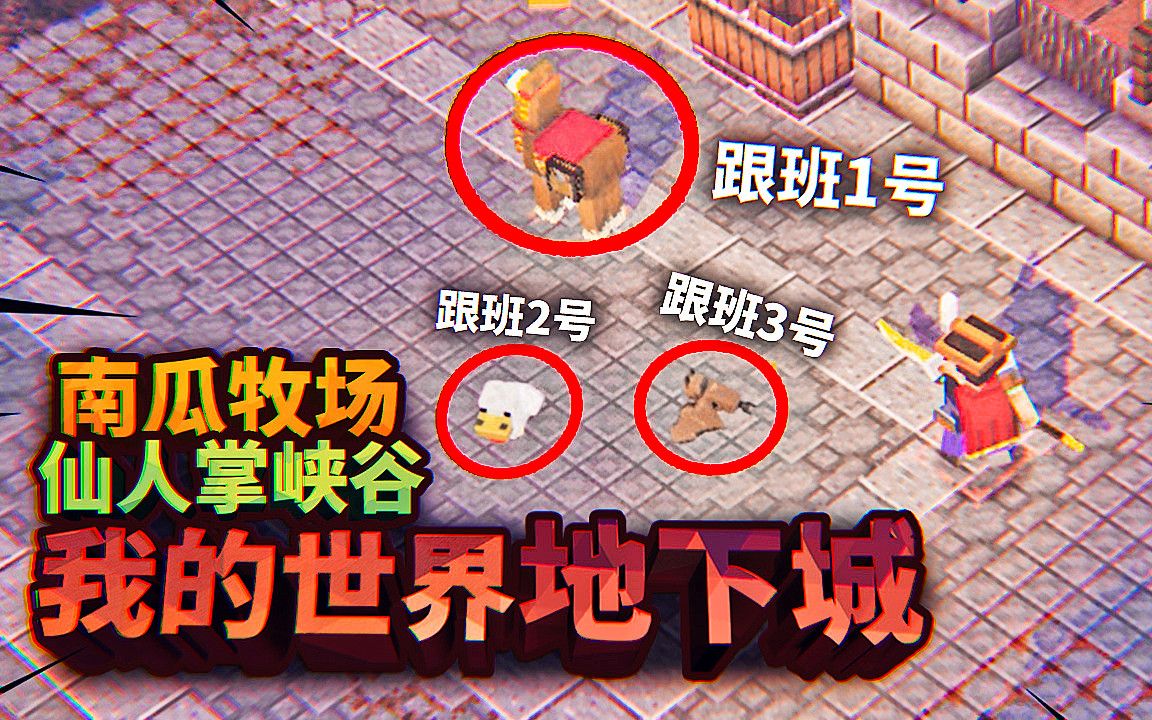 我现在有了三个跟班,甩都甩不掉!仙人掌峡谷和南瓜牧场章节 我的世界...