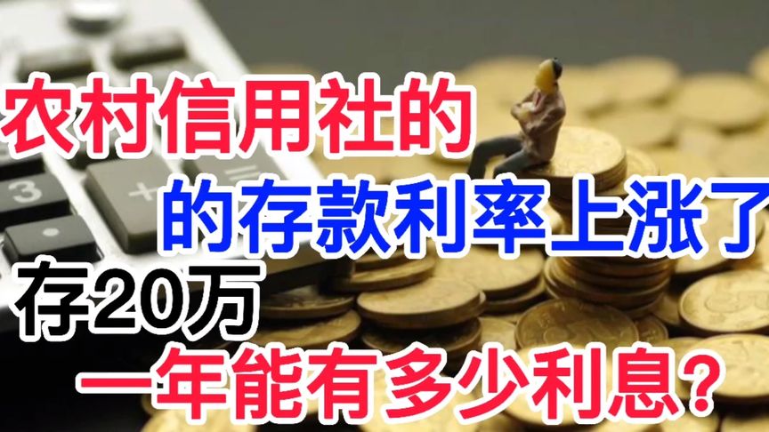 农村信用社的存款利率上涨了?存20万一年能有多少利息?