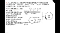 基因表达载体构建