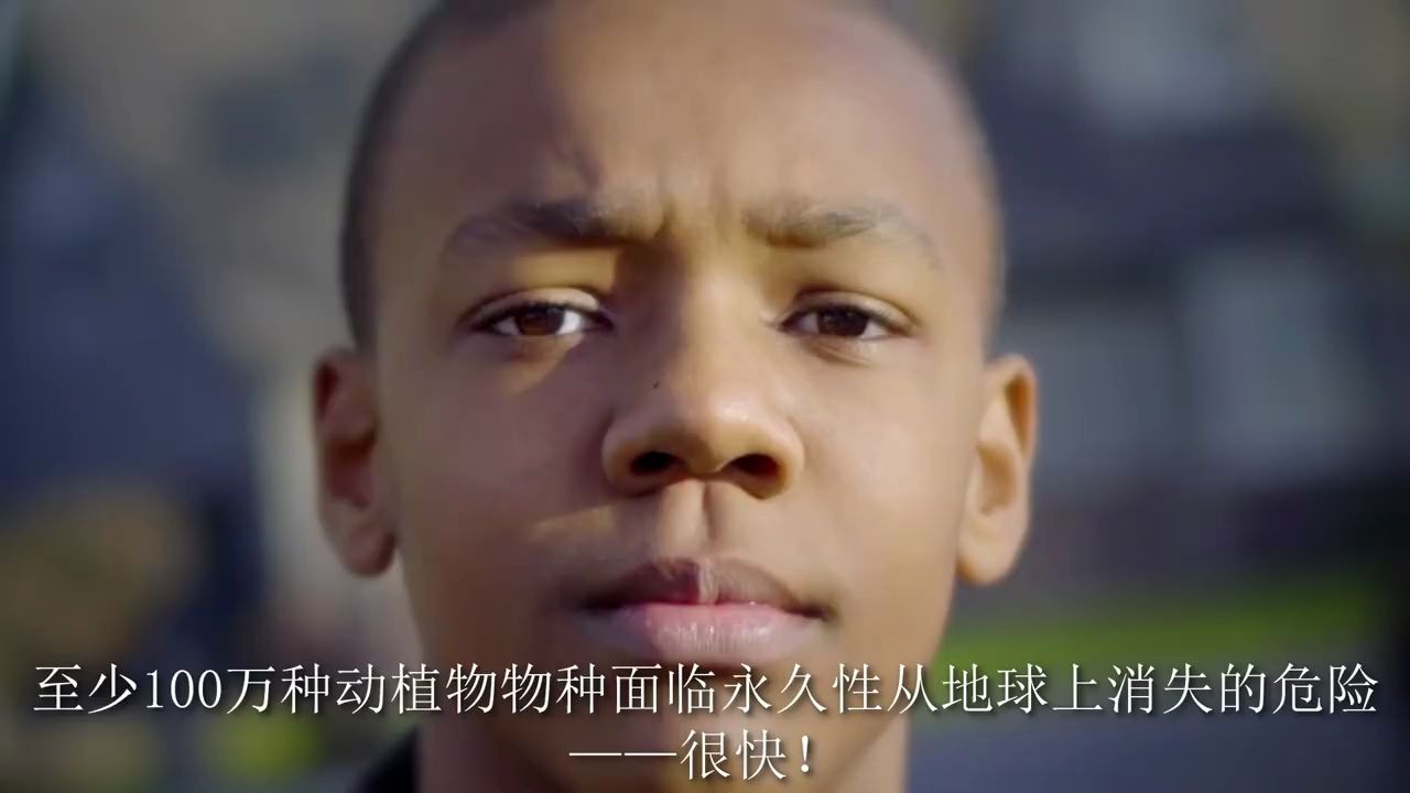 【2020世界环境日主题宣传片发布!】