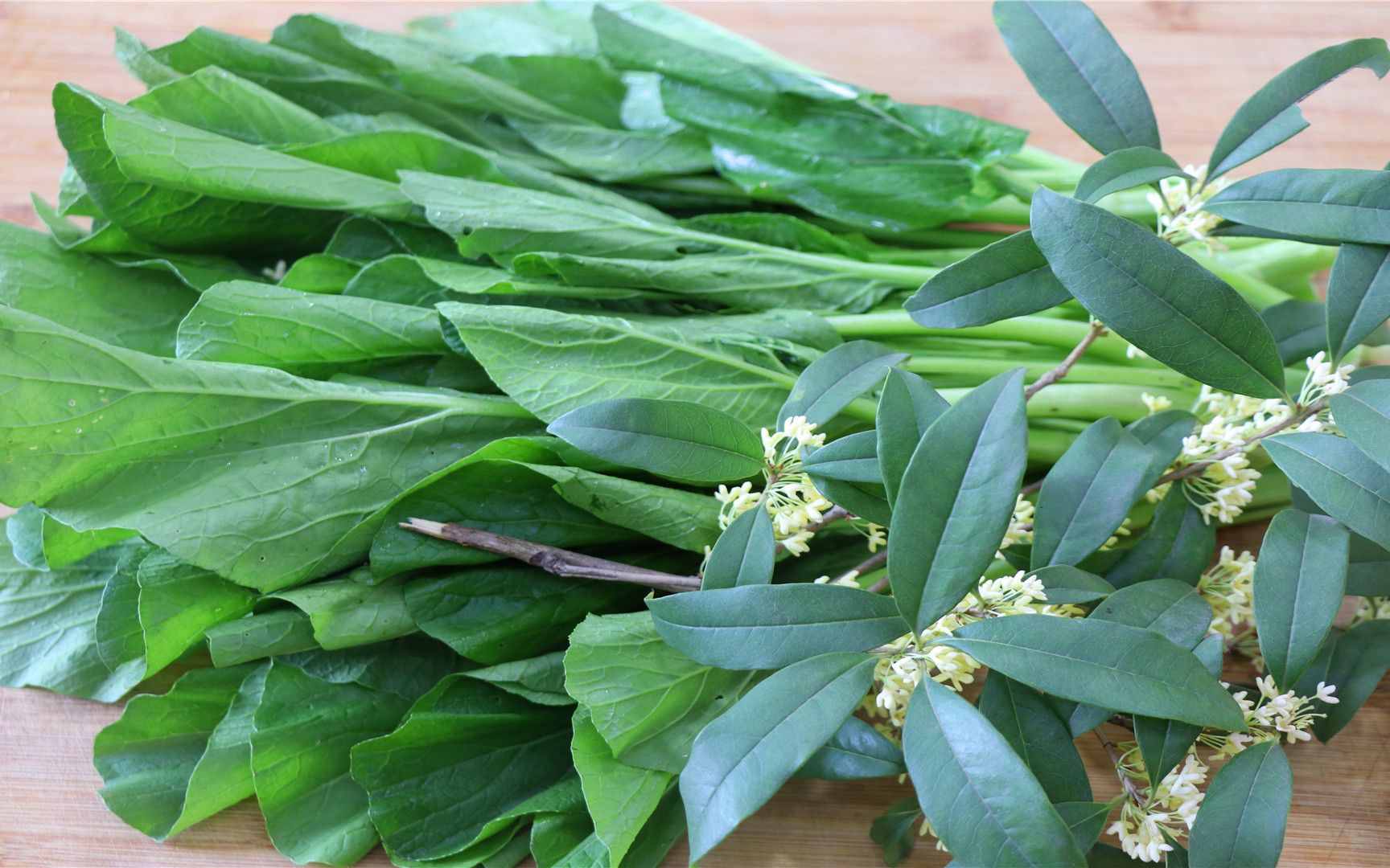 青菜学会这个做法,可以一周不吃肉,简单营养比海鲜还要好吃