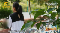 充值巨额会员费,商家却无法正常营业,顾客愤怒将其投诉