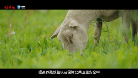 2022年提高抗微生物药物宣传片