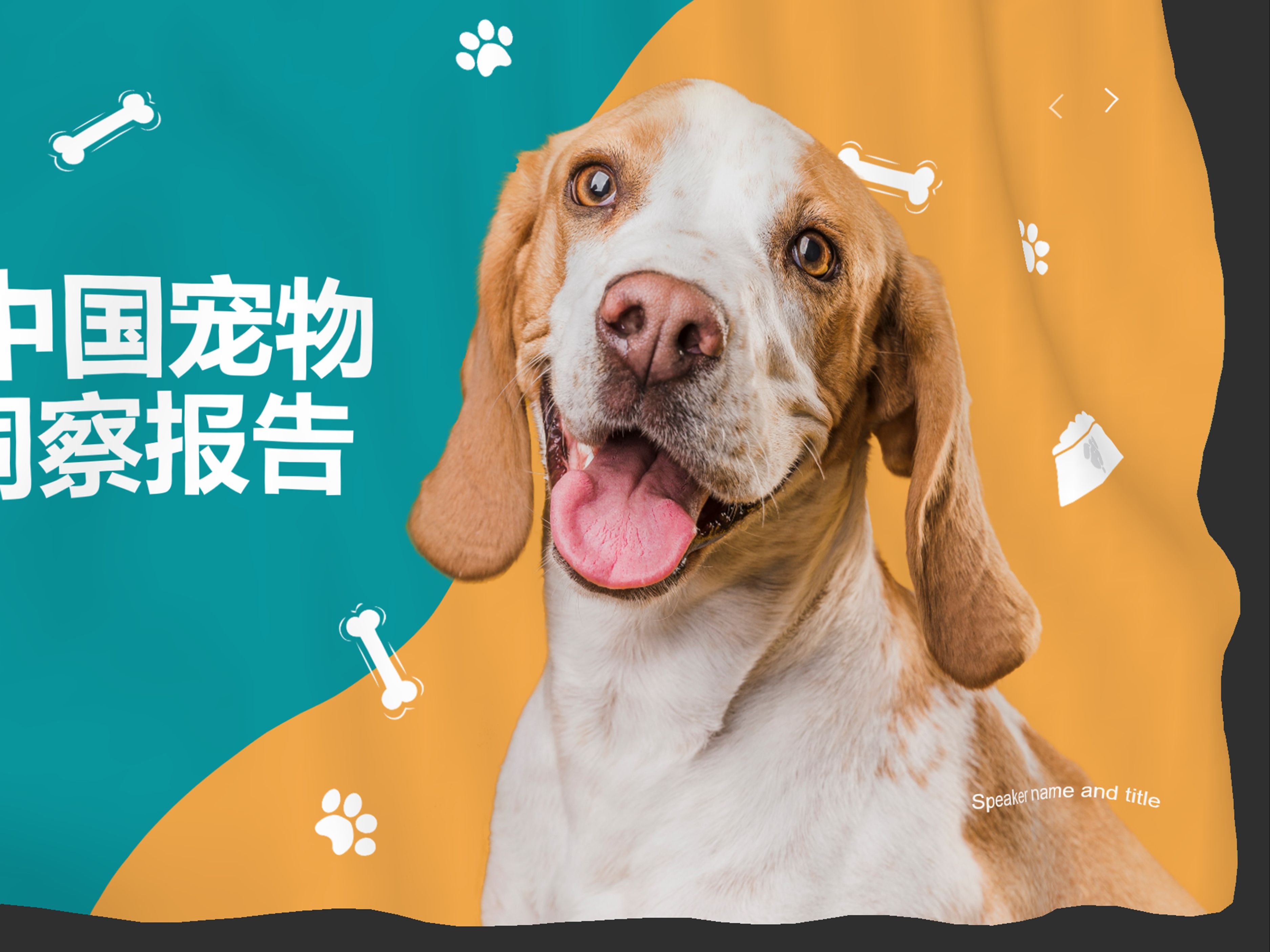 用ppt页面切换动画,也能快速制作创意封面,这一招你一定要学会