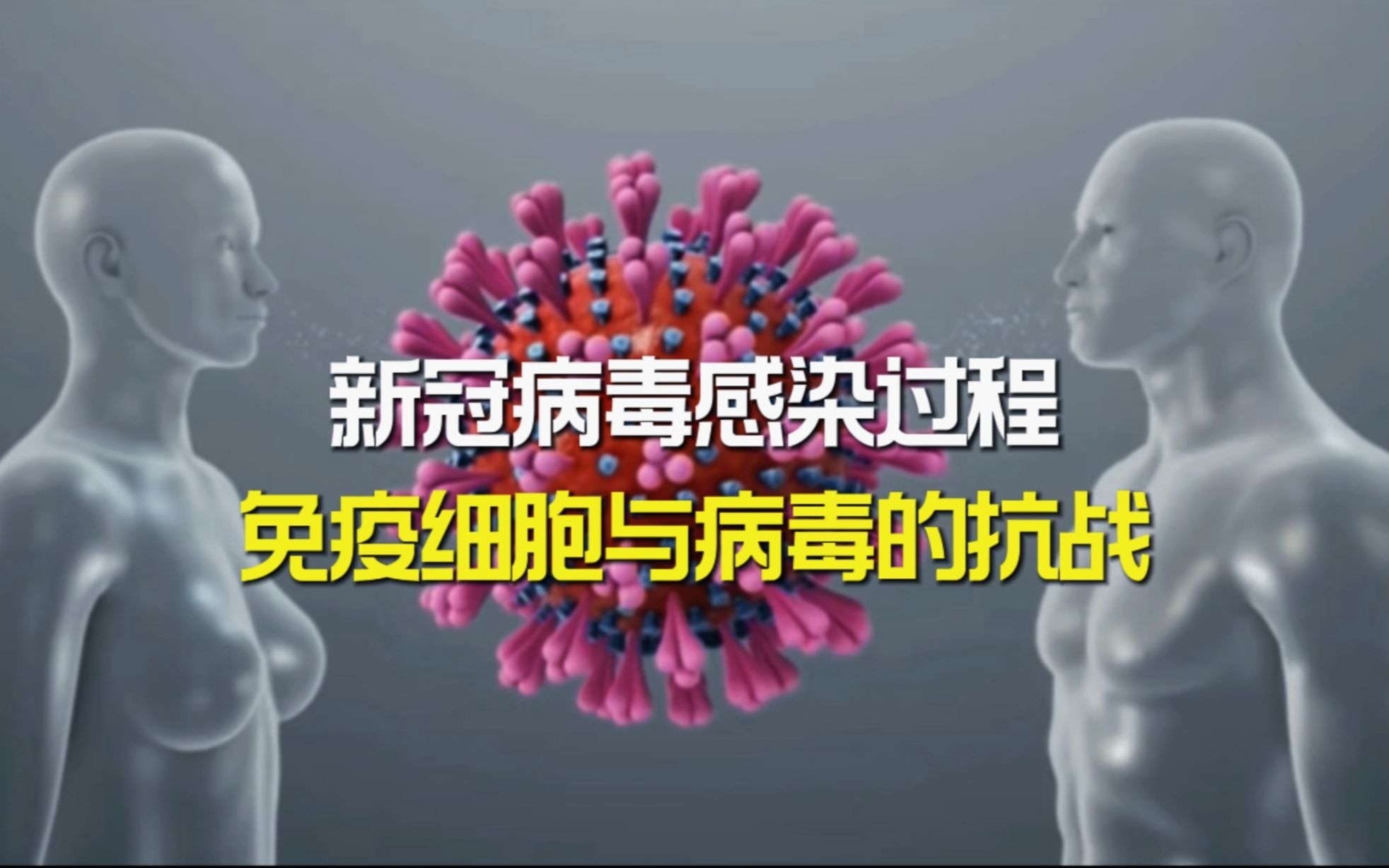 新冠病毒是如何进入人体的