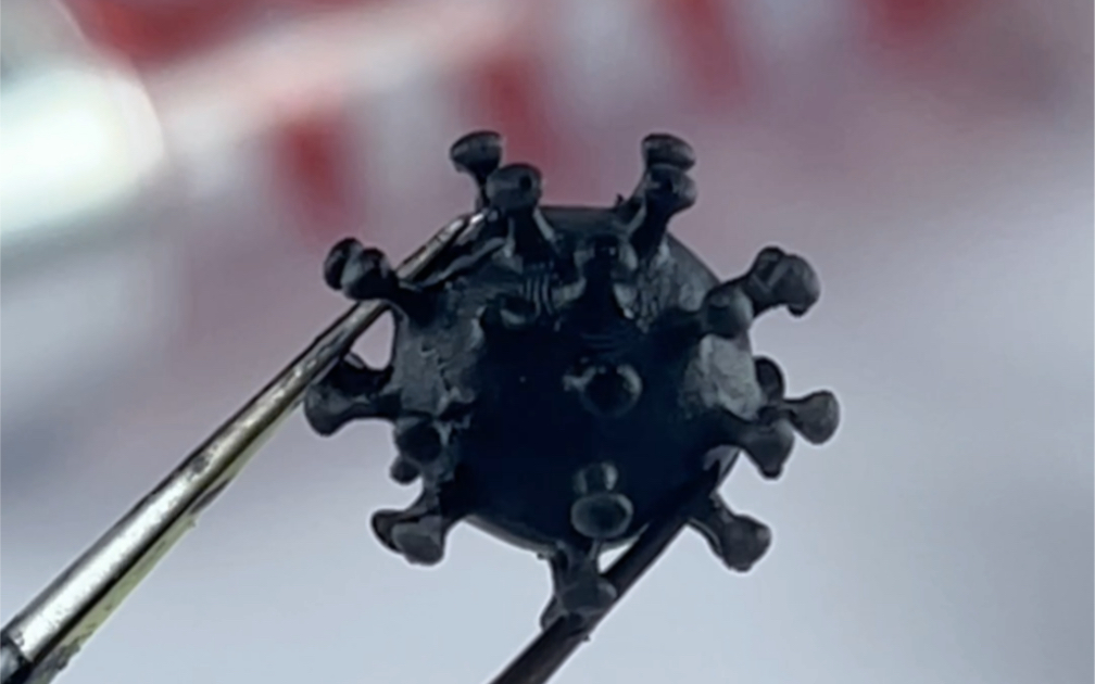 应粉丝要求新冠病毒模型。