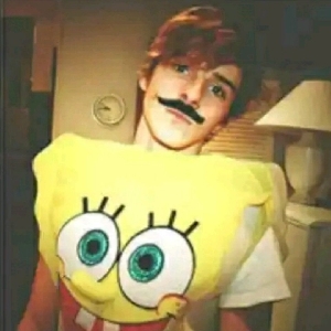 那只呆萌哒羊驼 