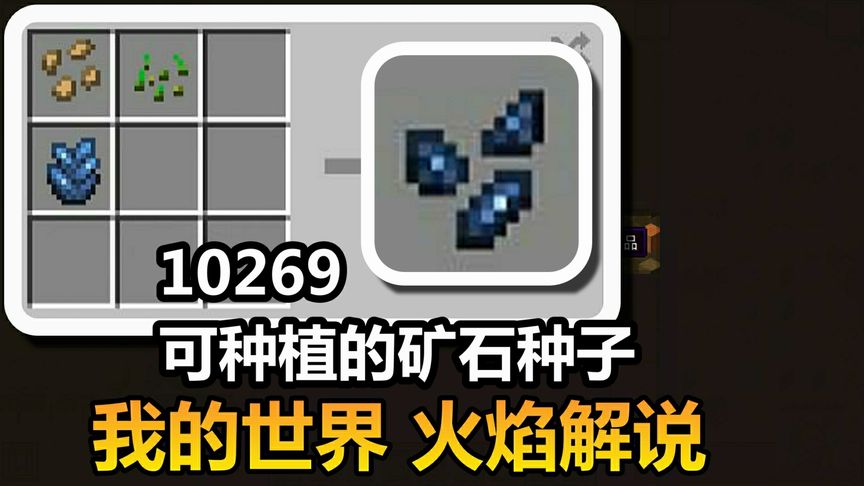 我的世界 火焰解说 10269 可种植的矿石种子