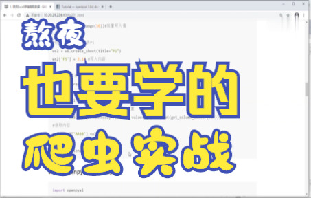 Python网络爬虫进阶实战