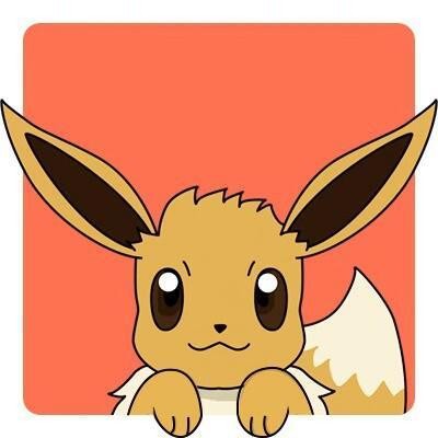 伊布Eevee12 