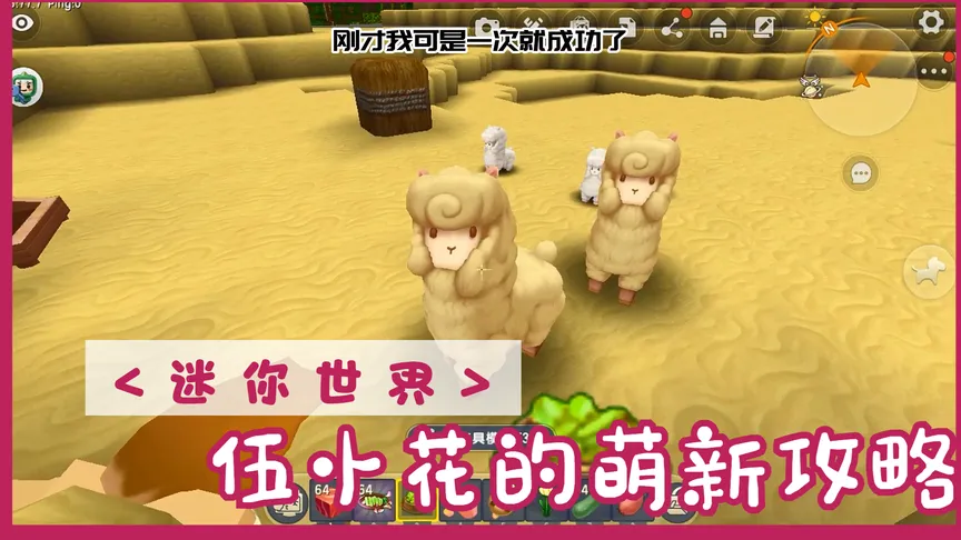 迷你世界小花的萌新攻略:青瓜大餐可以使墩墩生宝宝