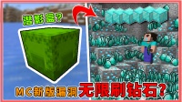 我的世界无限刷钻石!只需简单两步,搞秃mojang程序员!