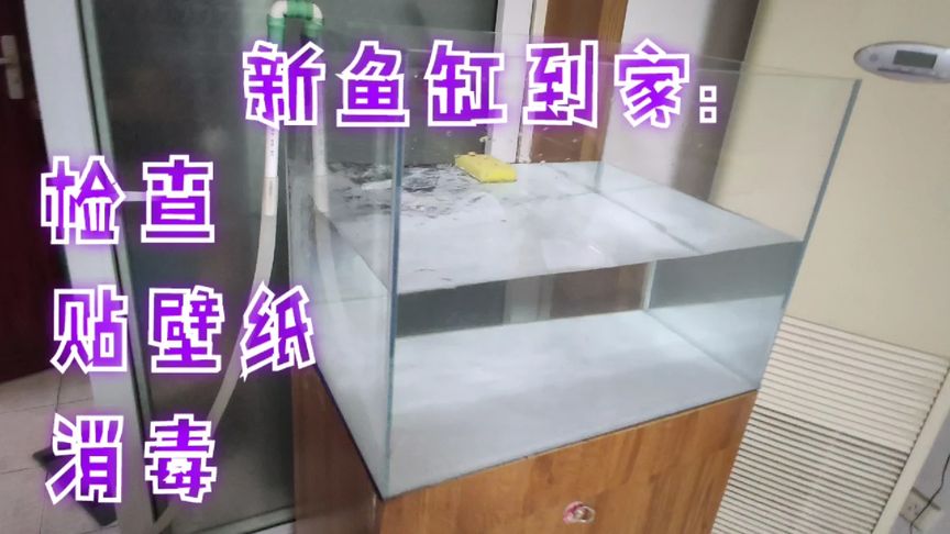 开箱超白鱼缸,新缸到家贴壁纸,还需特别消毒吗?#激萌奖金计划#