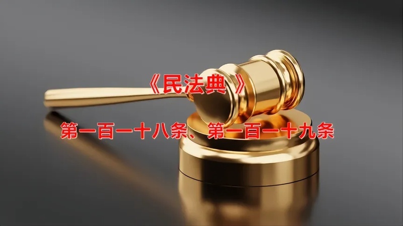债权!合同的相关规定!民法典第一百一十八条、第一百一十九条