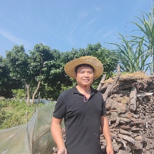 一介散修朱古力 