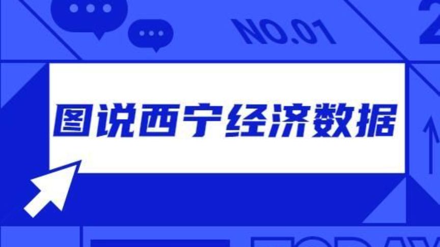 图说西宁经济数据 限额以上商贸市场实现良好开局