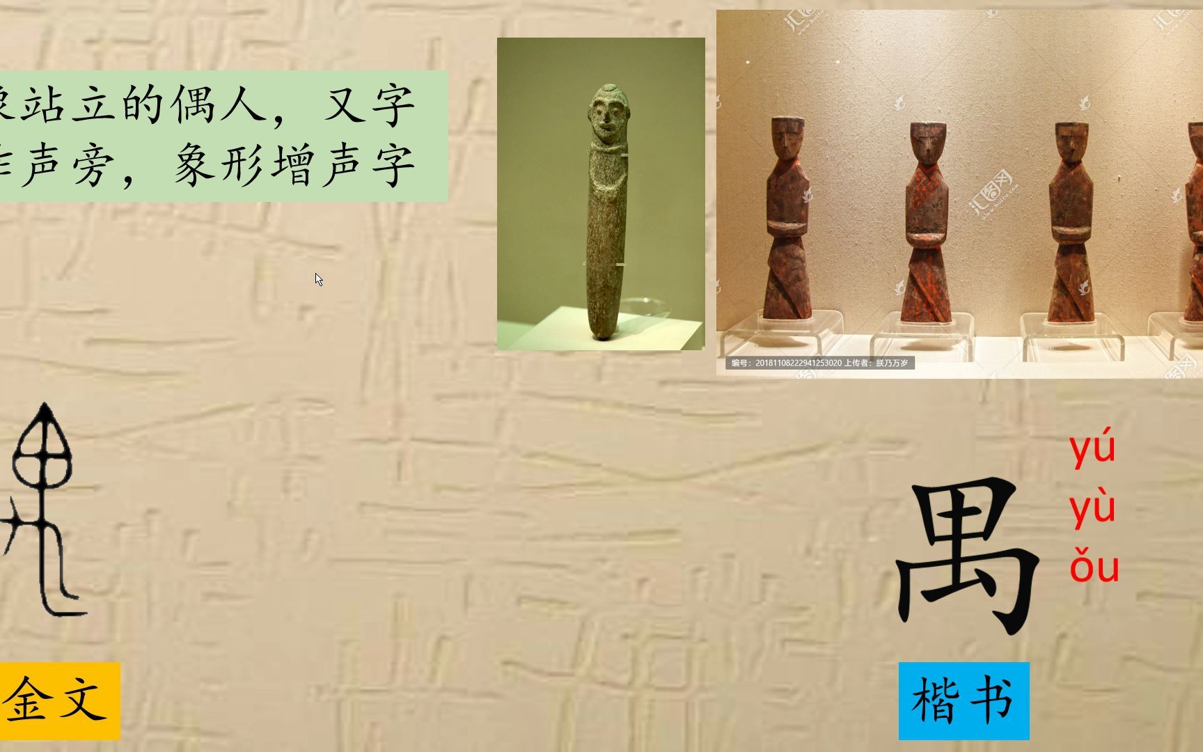 231、禺是木偶?,识字,说文解字,象形字,甲骨文,金文,篆文,书法,写字,国学