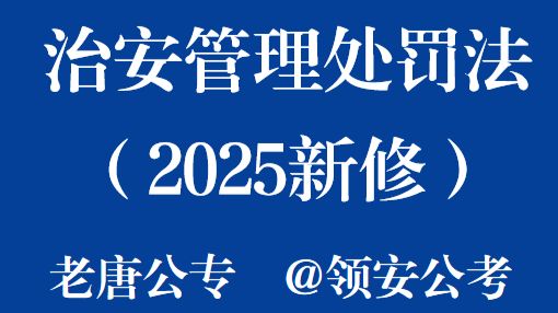 治安管理处罚法(2025新修)