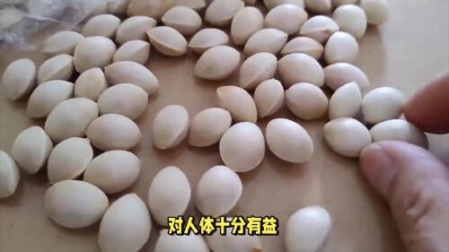 白果生吃可行吗,白果的食用禁忌有哪些