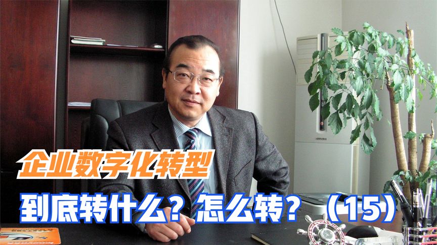 企业数字化转型到底转什么?怎么转?(15)
