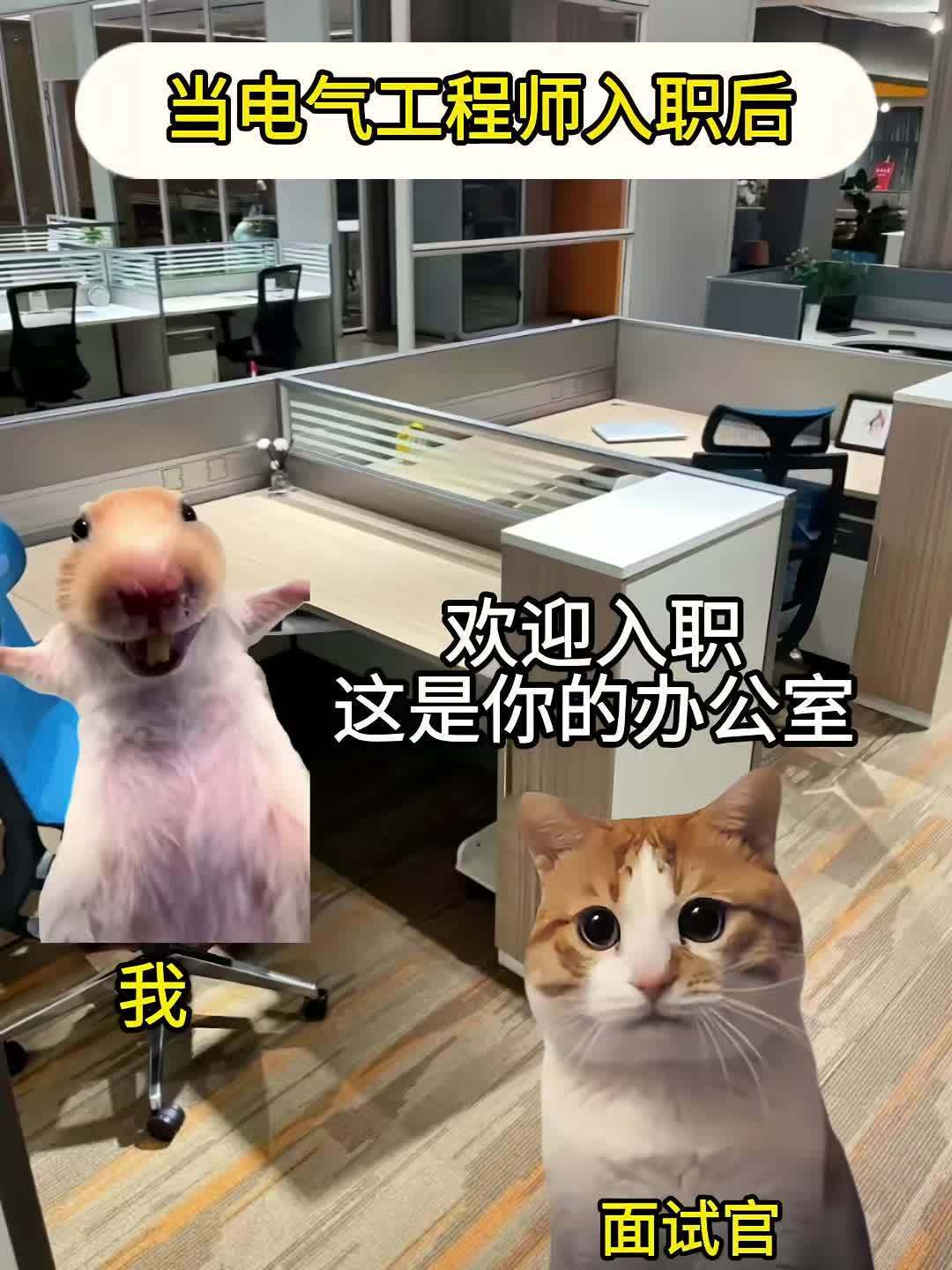 当电气工程师第一天入职时