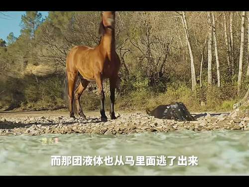 毒液终极决战!共生体最后疯狂,宿命对决引爆宇宙!